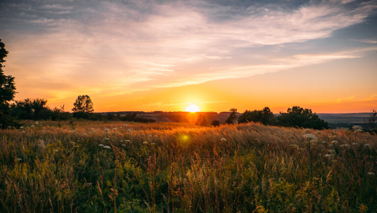 Sunset Reports Are Out, Starting the Process to Reshape Agencies ...